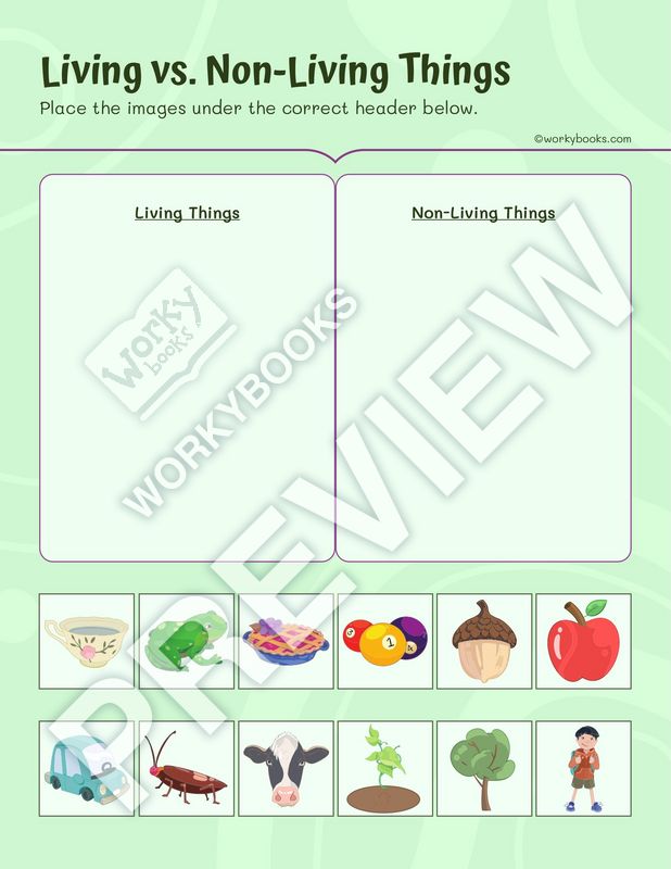 Worksheet - Vocabulary—Living vs Nonliving Things | Living vs Nonliving ...
