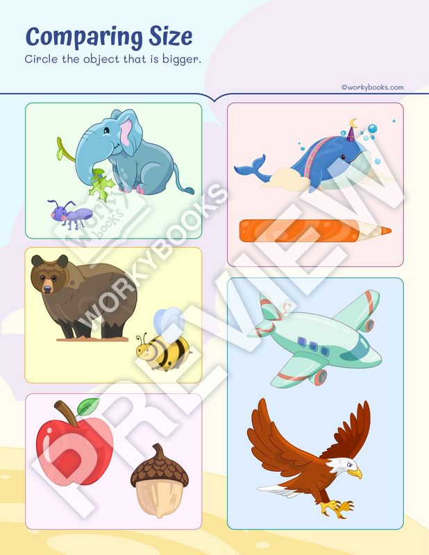 Worksheet - Comparing Size | Relative Size | Compare | Comparing Size ...