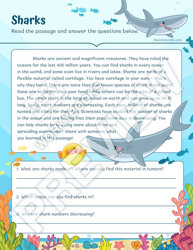 Worksheet - Sharks—Informational Text | Sharks | Predators | Fishing | Ocean | Marine | Science ...