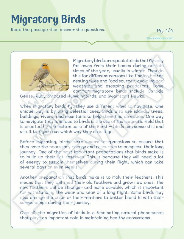 Worksheet - Informational Text —Migratory Birds | 4th Grade | Reading Comprehension Interactive ...